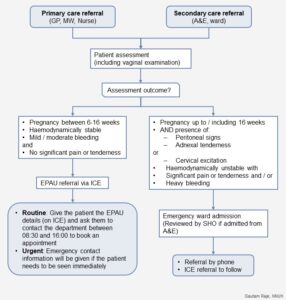 Early Pregnancy Emergencies & Assessment Pathway (NNUH) - Knowledge NoW